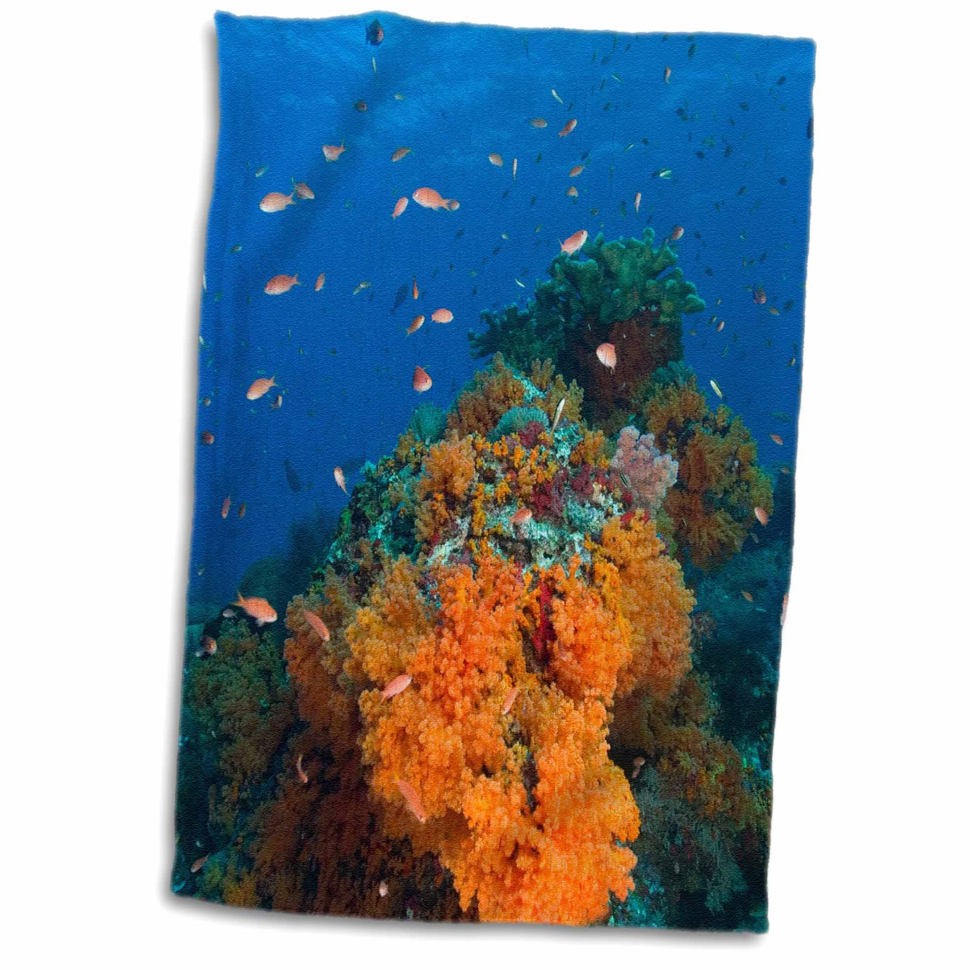 3D Rose Soft Corals-Anthias Fish-Raja Ampat-Papua-Li06 Sws0002-Stuart Westmorland Hand/Sports Towel, 15 x 22