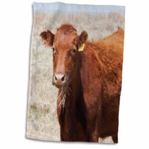 3D Rose Red Angus Cow with Grass in Mouth-Na02 Pwo0000-Piperanne Worcester Towel, 15" x 22", Multicolor