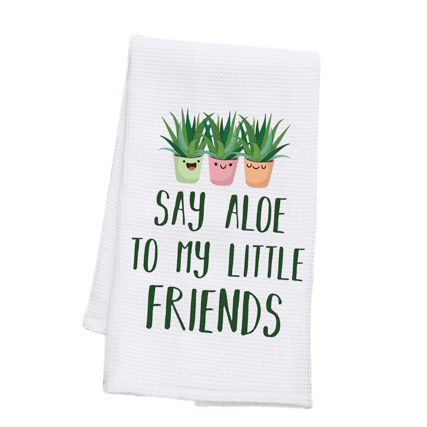 BDPWSS Plant Lover Gift Say Aloe to My Little Friends Dish Towel for Gardener Gift Succulent Plant Gift Crazy Plant Lady Gift (Say Aloe Friends TW)