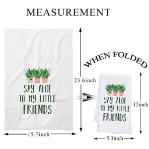 BDPWSS Plant Lover Gift Say Aloe to My Little Friends Dish Towel for Gardener Gift Succulent Plant Gift Crazy Plant Lady Gift (Say Aloe Friends TW)