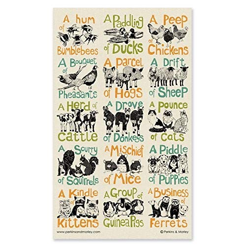 Collective Noun Tea Towel by Perkins and Morley