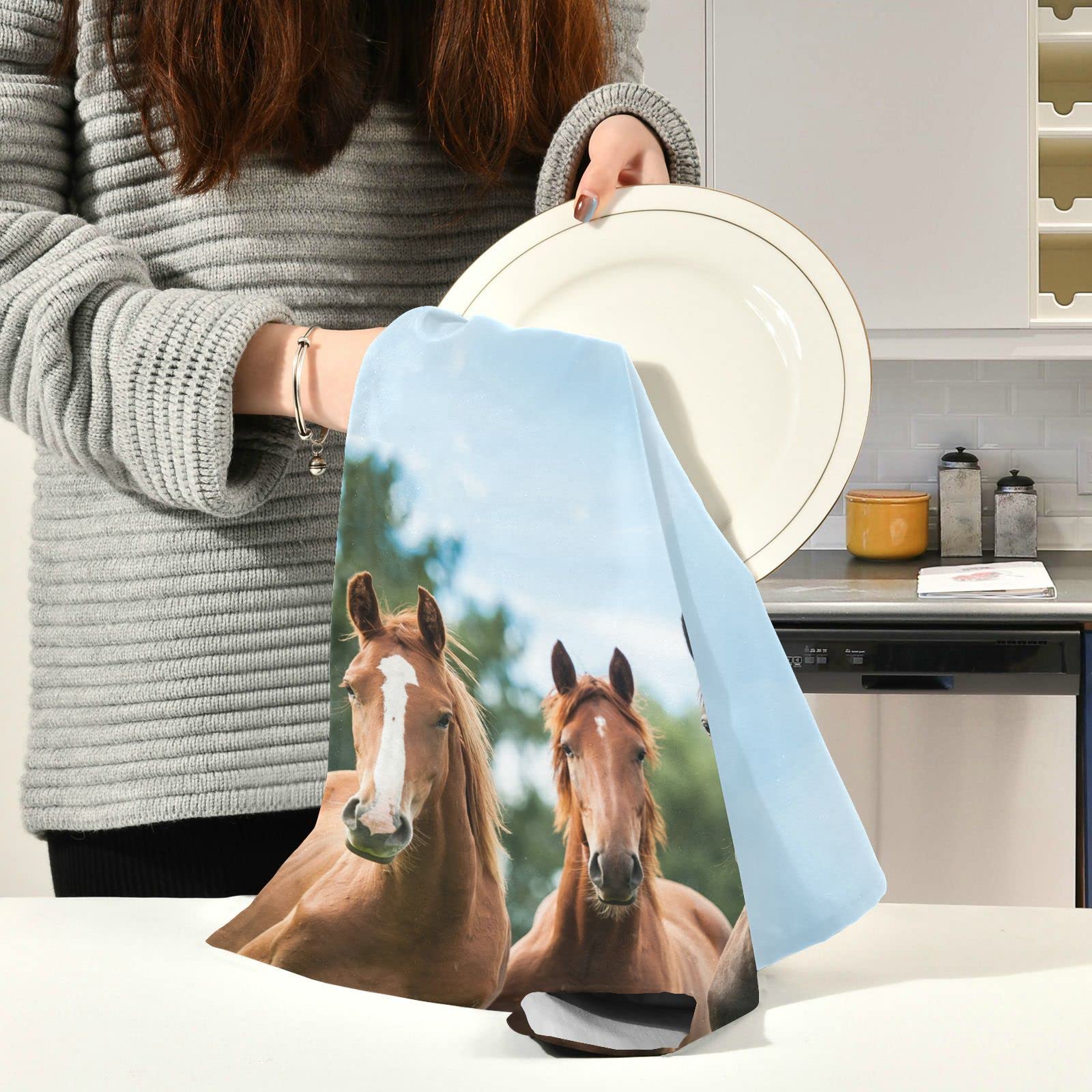 xigua Horse Kitchen Towels Set of 4, Soft Absorbent Drying Dishcloths Dish Towels with Hanging Loop for Kitchen Bathroom Bar Home Decor, 18 x 28 Inch