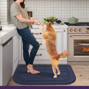 DEXI 2 Pack Kitchen Rugs Mats, Low Profile Inddoor Door Mat, Machine Washable Kitchen Rugs Set, 20"x32"+20"x32", Navy