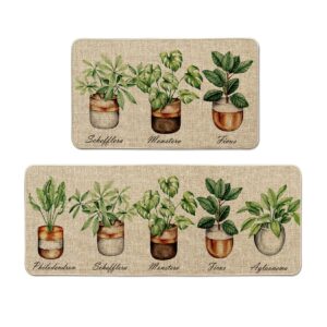 artoid mode schefflera monstera ficus summer kitchen mats set of 2, hello sunshine home decor low-profile kitchen rugs for floor - 17x29 and 17x47 inch