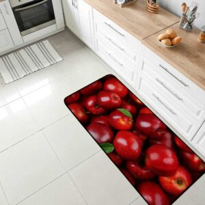 Kitchen Rugs 39 x 20 Inch Apple Red Fruits for Non-Slip Kitchen Floor Mats Doormat Bathroom Runner Rug Laundry Room Indoor Outdoor