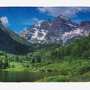 Tree Majestic Mountains and Fresh Forest Along Calm River Spring Scene Green and Azure Blue Bath Mats Non-Slip Absorbent Soft Plush Doormat Decor Bathroom Rugs for Kitchen Bedroom Floor Mat 16x24 inch