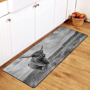 moblinko highland cow kitchen rugs scotland cattle non skid bath mat 39x 20 inch washable standing floor mat runner carpet for bathroom home office farmhouse laundry