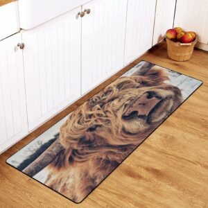 cute wild scottish highland cattle kitchen rug non-slip kitchen mats animal cow bath runner doormats area mat rugs carpet for home decor 39" x 20"