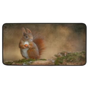 agona anti fatigue kitchen mat cute animal red squirrel sciurus kitchen floor mat soft standing mats absorbent area rugs non slip kitchen rugs bath rug runner carpet for home decor indoor outdoor