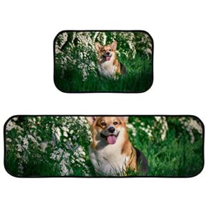 vantaso kitchen floor mat rug nice small dog corgi set of 2 cushioned non-slip comfort runner rugs