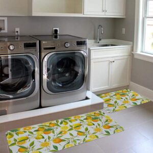 Lemon Kitchen Mats and Rugs Set of 2, Washable Absorbent Fruit Kitchen Runner Rug Carpet Leomon Kitchen Decor and Accessories Anti-Fatigue Comfort Mat for Kitchen Bathroom Laundry