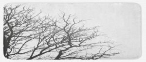 lunarable black and white kitchen mat, leafless branches of a tree in autumn dramatic november days out twigs, plush decorative kitchen mat with non slip backing, 47" x 19", black white