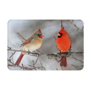 bath rugs cute cardinal birds standing on branches door mat outdoor winter birds natural design doormat non slip absorbent bathroom rug carpet for home entrance kitchen 16x24in