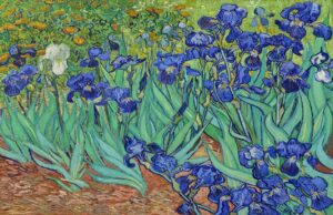 paper placemats for dining table décor disposable table mats, easter placemats, garden party backyard wedding patio table décor, van gogh irises pk 25