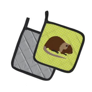 Caroline's Treasures BB7705PTHD Coypu Nutria River Rat Green Pair of Pot Holders Kitchen Heat Resistant Pot Holders Sets Oven Hot Pads for Cooking Baking BBQ, 7 1/2 x 7 1/2