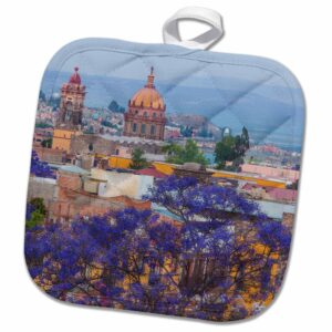 3d rose mexico-san miguel de allende. jacaranda tree and city overview. pot holder, 8 x 8