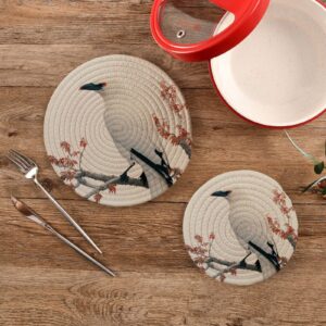 FOLIOSA Cotton Pot Holder Trivets Set of 2 (White Crow), Handmade Hot Pads for Kitchen, Heat Resistant Durable Potholder for Dining Table, Round Cotton Rope Mats for Home Decor