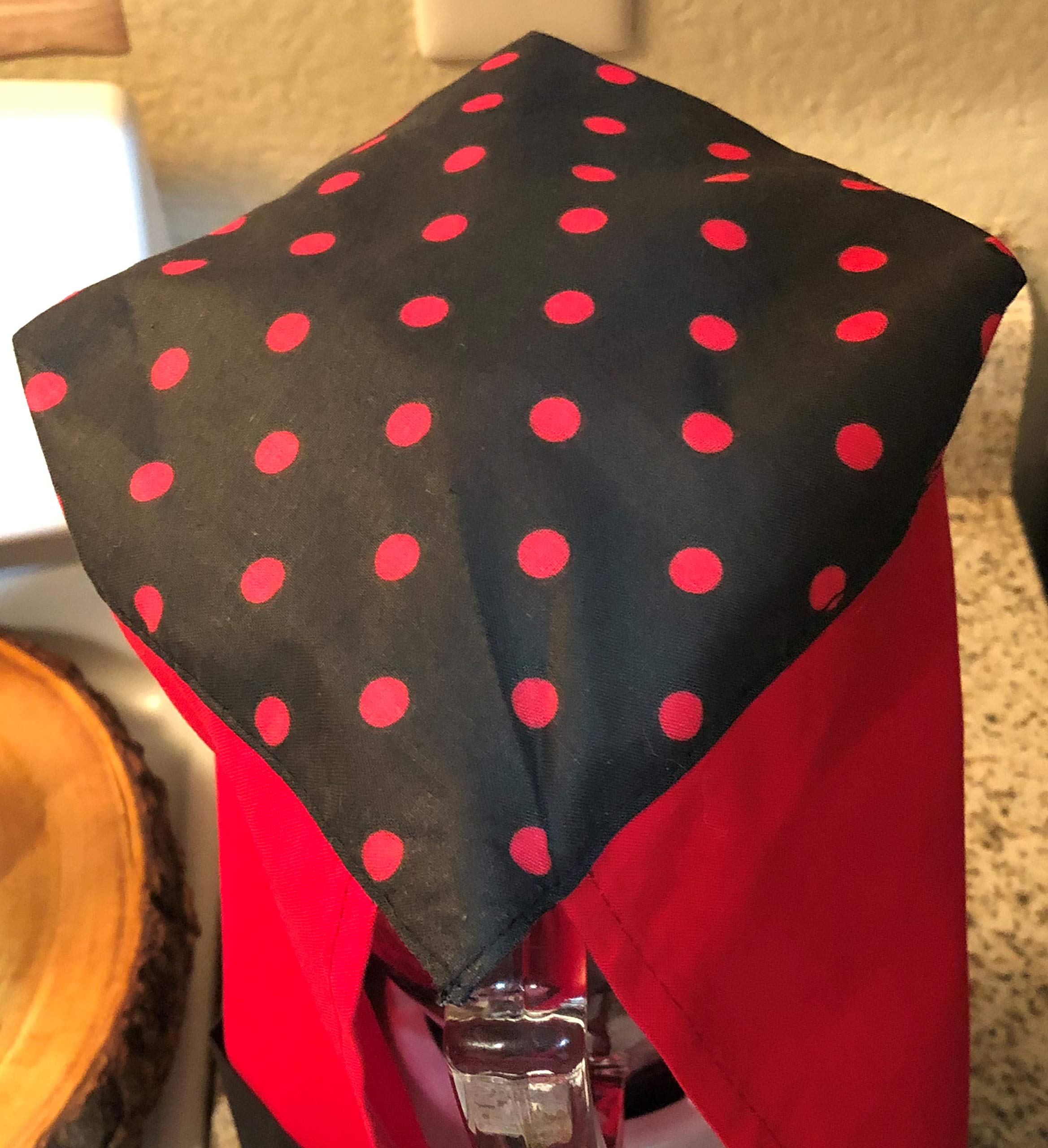 Blender Cover for OSTER. Kitchen design: Lady Bug/Black-Red Dots. Dress for blender-Ribbons to make your own adjustable bow.