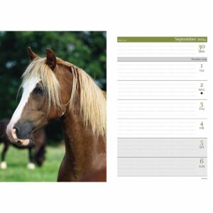 Horses A5 Diary 2024