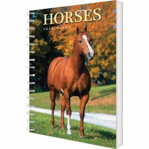 horses a5 diary 2024