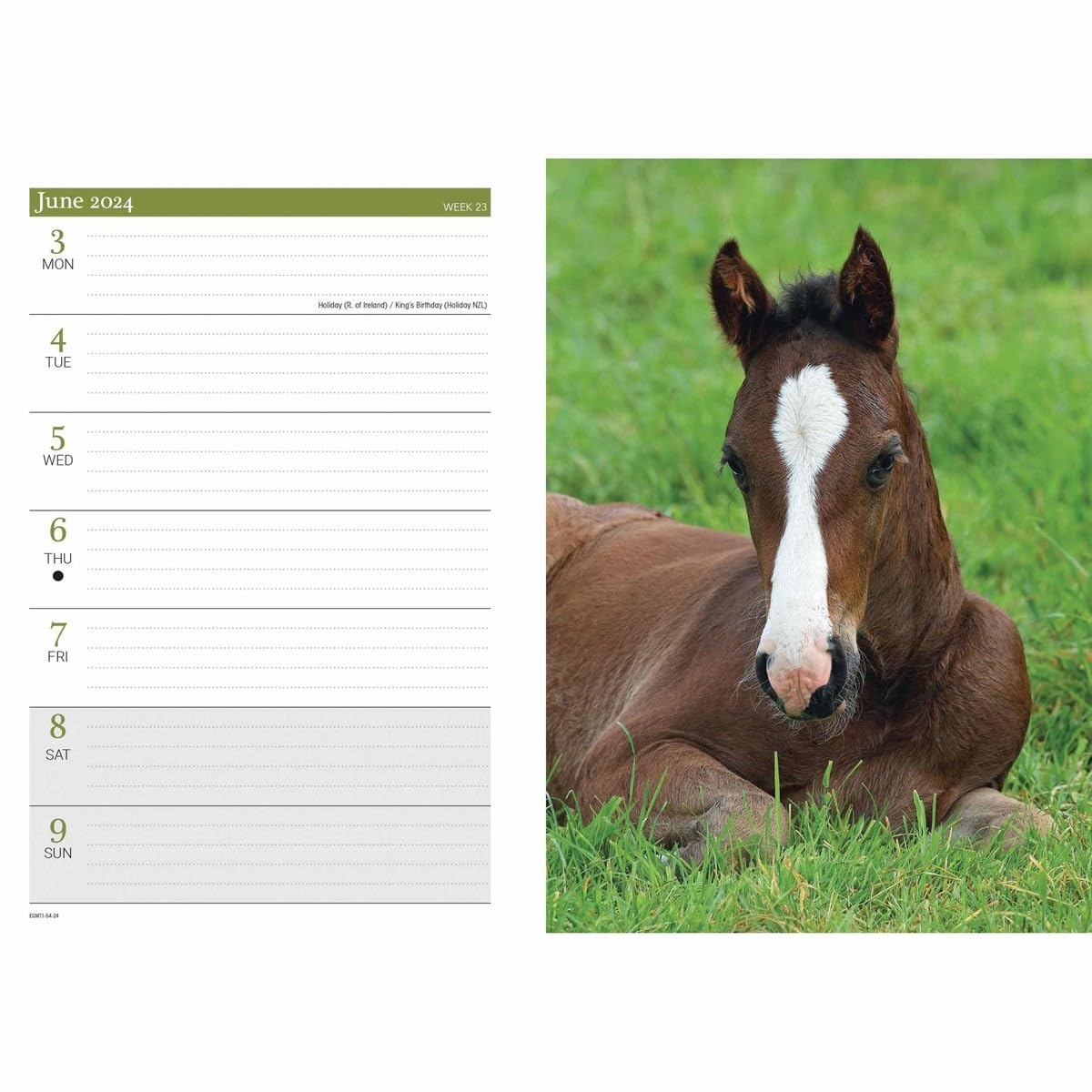 Horses A5 Diary 2024