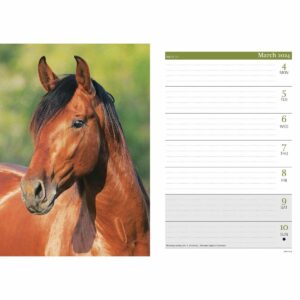 Horses A5 Diary 2024