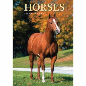 Horses A5 Diary 2024