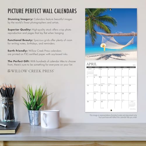 Willow Creek Press Black Lab Puppies Monthly 2024 Wall Calendar (12" x 12")