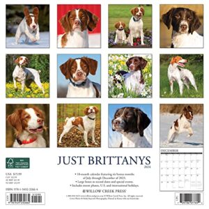 Willow Creek Press Brittanys Monthly 2024 Wall Calendar (12" x 12")