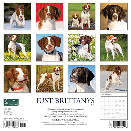 Willow Creek Press Brittanys Monthly 2024 Wall Calendar (12" x 12")