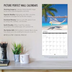 Willow Creek Press Cat-astrophe Monthly 2024 Wall Calendar (12" x 12")