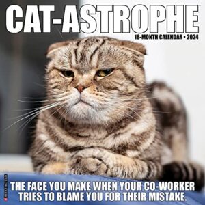 willow creek press cat-astrophe monthly 2024 wall calendar (12" x 12")