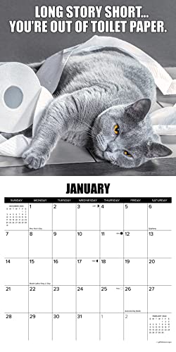 Willow Creek Press Cat-astrophe Monthly 2024 Wall Calendar (12" x 12")