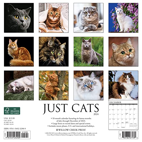 Willow Creek Press Cats Monthly 2024 Wall Calendar (12" x 12")