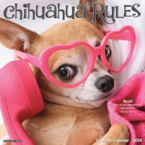 willow creek press chihuahua rules monthly 2024 wall calendar (12" x 12")