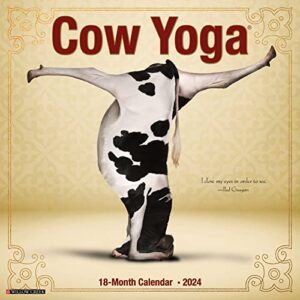 willow creek press cow yoga monthly 2024 wall calendar (12" x 12")