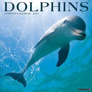 willow creek press dolphins 2024 12" x 12" wall calendar