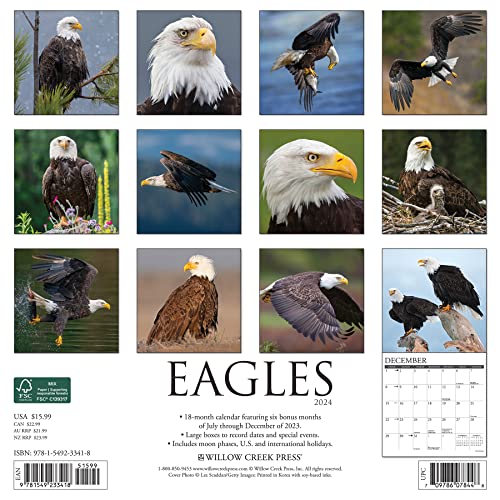 Willow Creek Press Eagles Monthly 2024 Wall Calendar (12" x 12")