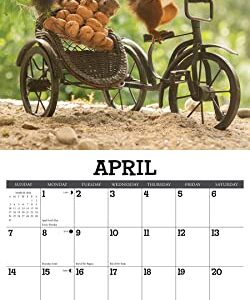 Willow Creek Press Gettin' Squirrelly Monthly 2024 Wall Calendar (12" x 12")