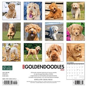 Willow Creek Press Goldendoodles Monthly 2024 Wall Calendar (12" x 12")