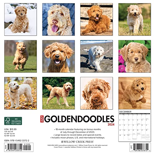 Willow Creek Press Goldendoodles Monthly 2024 Wall Calendar (12" x 12")