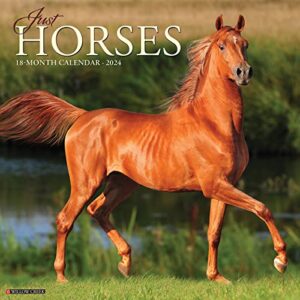 willow creek press horses monthly 2024 wall calendar (12" x 12")