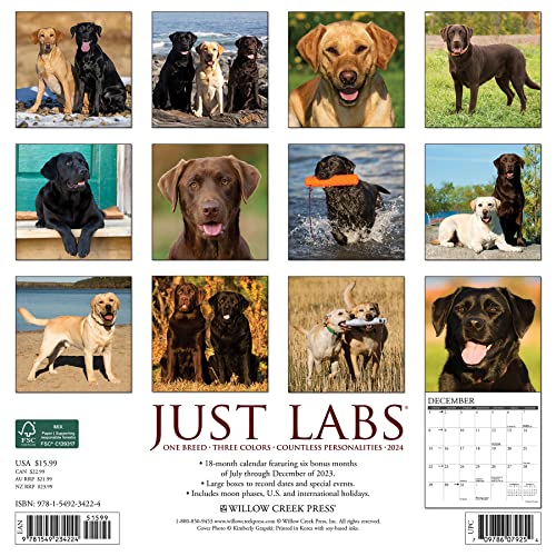 Willow Creek Press Labs Monthly 2024 Wall Calendar (12" x 12")