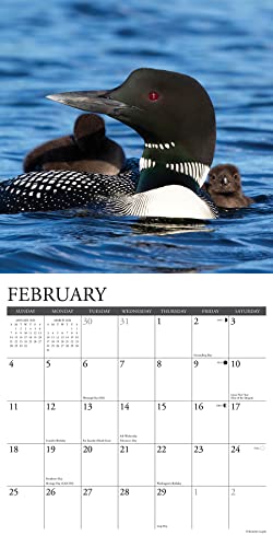 Loons 2024 Calendar