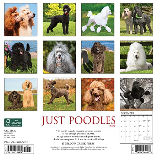 Willow Creek Press Poodles Monthly 2024 Wall Calendar (12" x 12")