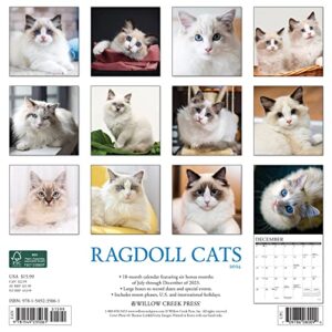 Willow Creek Press Ragdoll Cats Monthly 2024 Wall Calendar (12" x 12")