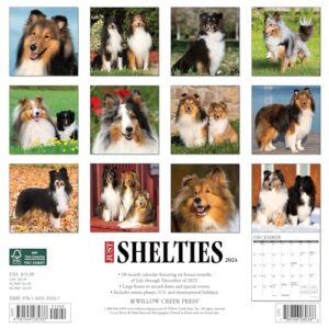 Willow Creek Press Shelties Monthly 2024 Wall Calendar (12" x 12")