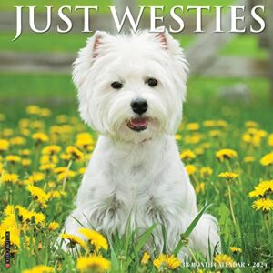 willow creek press westies monthly 2024 wall calendar (12" x 12")