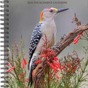 Willow Creek Press Backyard Birds Softcover Weekly Planner 2024 Spiral-Bound Engagement Calendar (6.5" x 8.5")