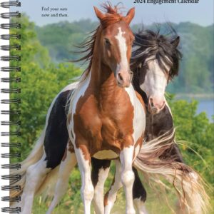 Willow Creek Press What Horses Teach Us Softcover Weekly Planner 2024 Spiral-Bound Engagement Calendar (6.5" x 8.5")